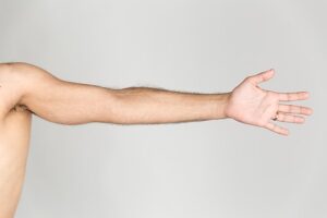 Arm vs. Forearm: What's the Difference? - Main Difference