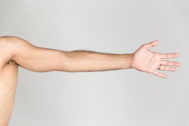 Arm vs. Forearm: What's the Difference? - Main Difference
