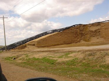 Silage vs. Soilage: What's the Difference? - Main Difference