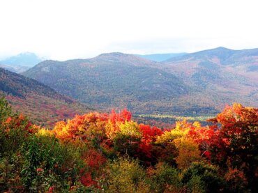Autumn vs. Spring: What's the Difference? - Main Difference