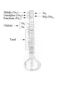Sitar vs. Veena: What's the Difference? - Main Difference