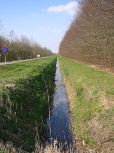 Ditch vs. Swale: What's the Difference? - Main Difference