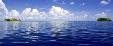 Blue vs. Indigo: What's the Difference? - Main Difference