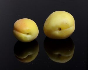 Left vs. Leave: What's the Difference? - Main Difference