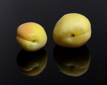 Left vs. Leave: What's the Difference? - Main Difference