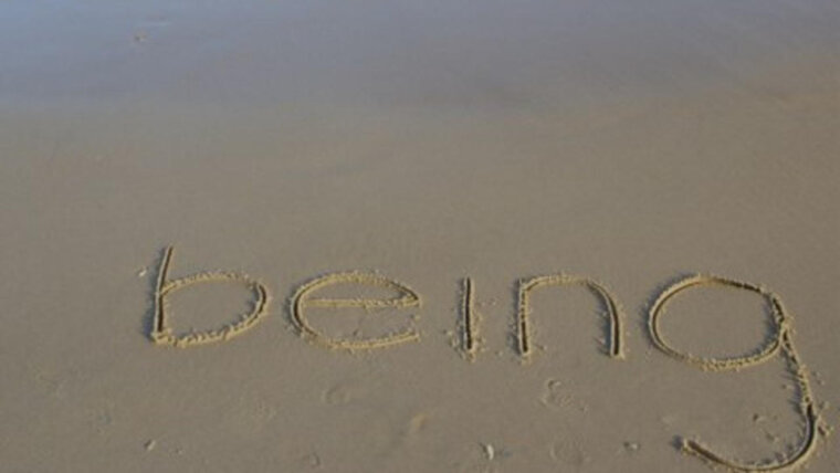 Beeing vs. Being: What's the Difference? - Main Difference