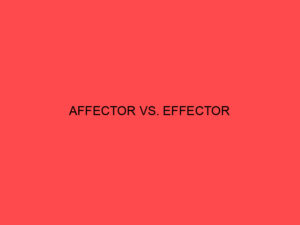 Affector vs. Effector: What's the Difference? - Main Difference
