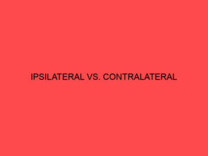 Ipsilateral vs. Contralateral: What's the Difference? - Main Difference