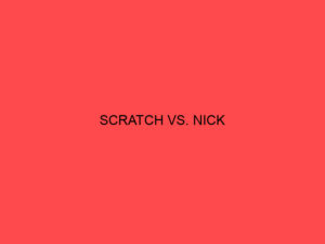 Scratch vs. Nick: What's the Difference? - Main Difference