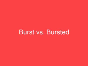 Burst vs. Bursted: What's the Difference? - Main Difference