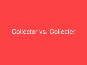 Collector vs. Collecter: What's the Difference? - Main Difference