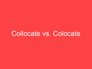 Collocate vs. Colocate: What's the Difference? - Main Difference