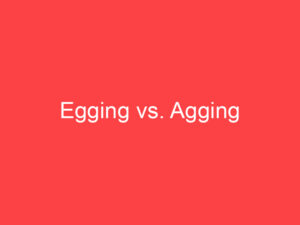 Egging vs. Agging: What's the Difference? - Main Difference