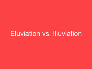 Eluviation vs. Illuviation: What's the Difference? - Main Difference