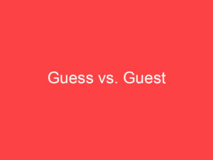 Guess vs. Guest: What's the Difference? - Main Difference