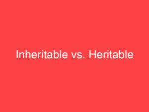 Inheritable vs. Heritable: What's the Difference? - Main Difference