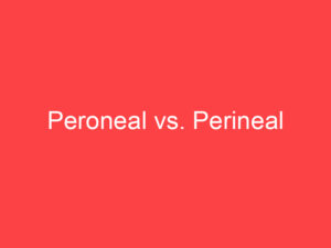 Peroneal vs. Perineal: What's the Difference? - Main Difference