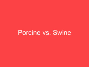 Porcine vs. Swine: What's the Difference? - Main Difference