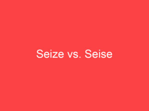 Seize vs. Seise: What's the Difference? - Main Difference