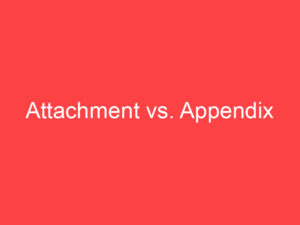 Attachment vs. Appendix: What's the Difference? - Main Difference