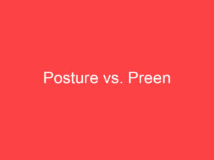 Posture vs. Preen: What's the Difference? - Main Difference