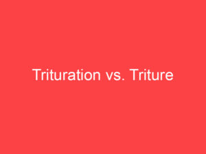 Trituration vs. Triture: What's the Difference? - Main Difference